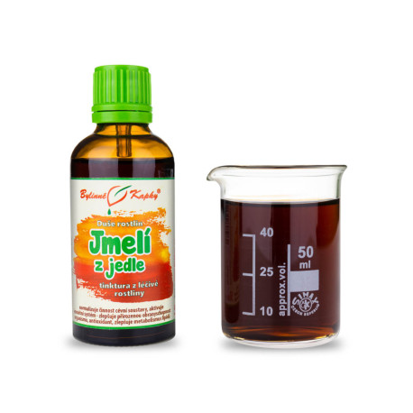 Imelo z jedle - Bylinné kvapky (tinktúra) Duša rastlín 50 ml